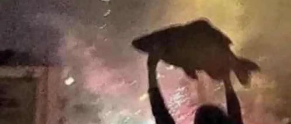 Dominic Gorden on MyRacePass